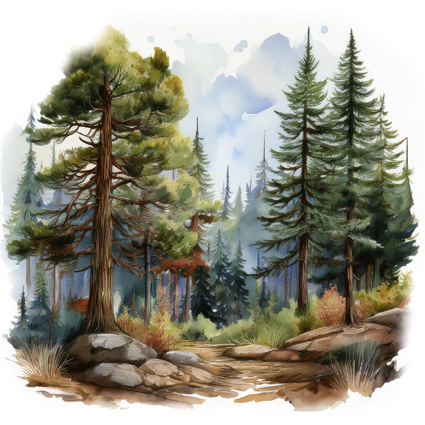 Native Trees of North America – Plant Me Green