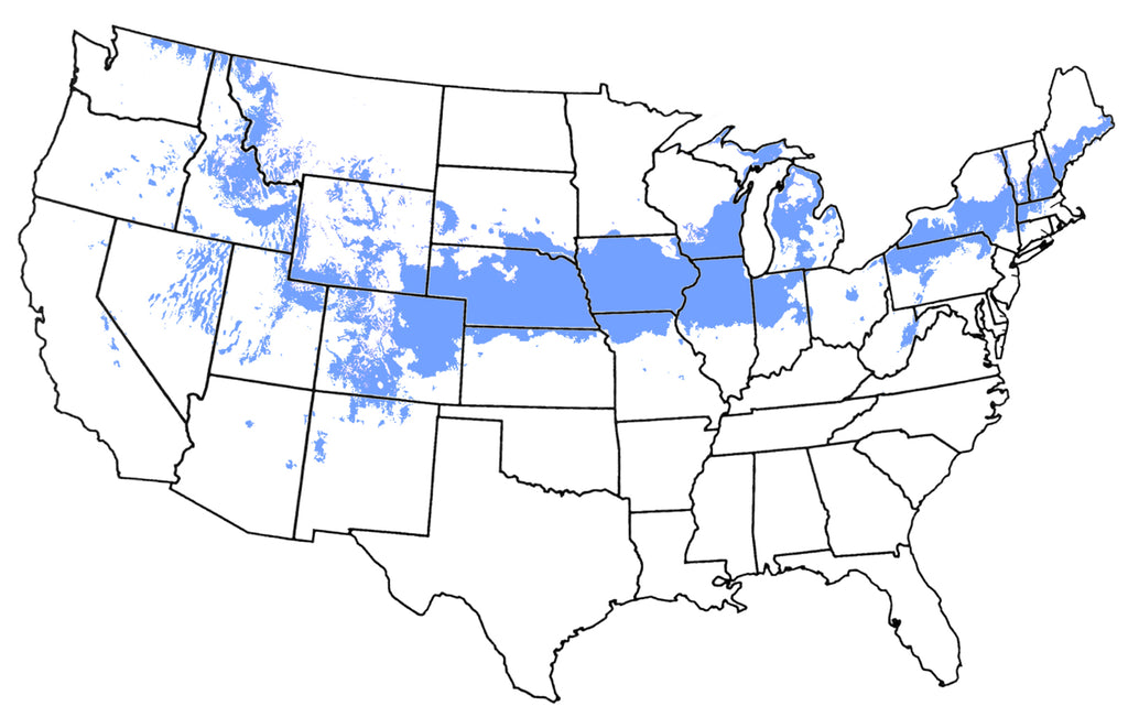 Plants for USDA Zone 5