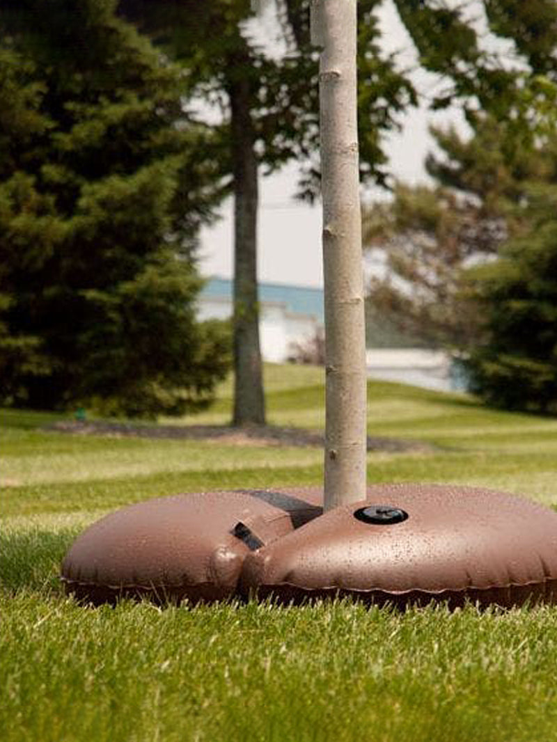 Water Ring Plant Hydration System